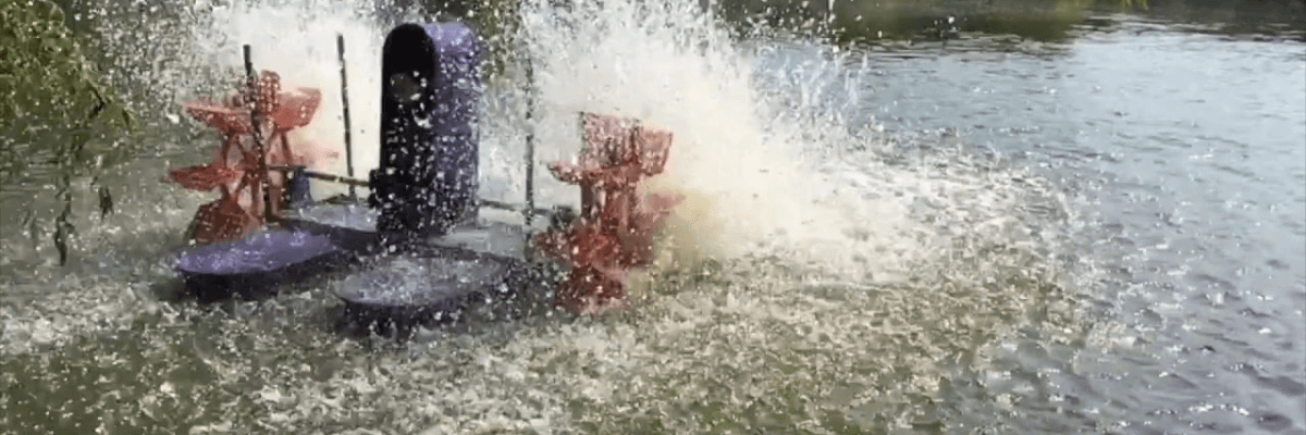 Select the Right Paddle Wheel Aerator for Your Fish Pond